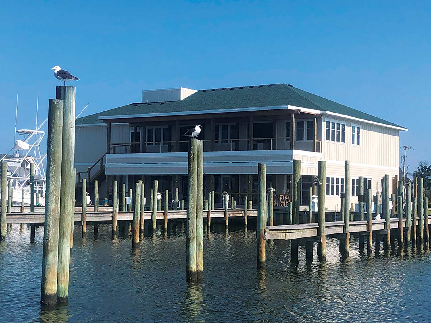 An Oasis in the Graveyard of the Atlantic | Marlin