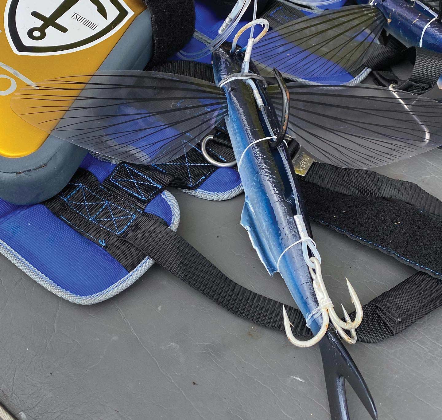 Southern California's Offshore Opportunities | Marlin