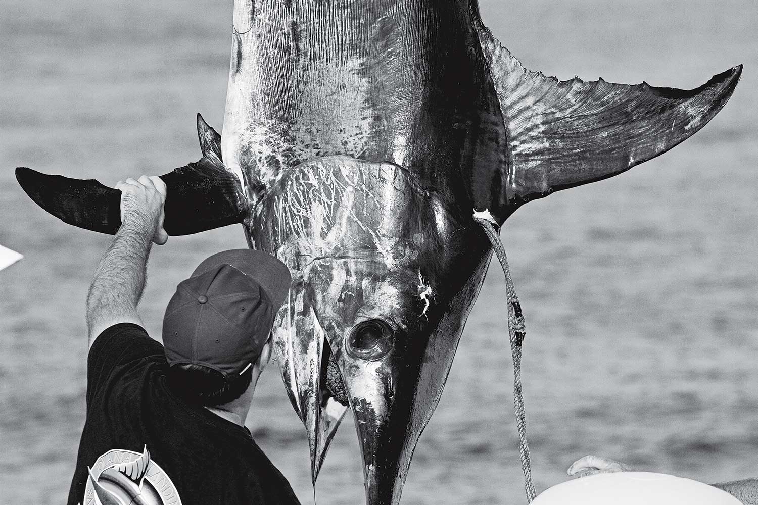 Southern California's Offshore Opportunities | Marlin