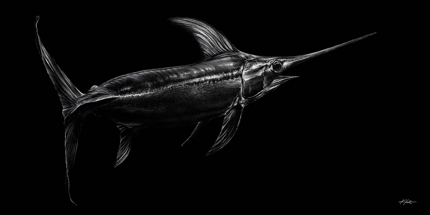 Offshore Art Gallery | Marlin
