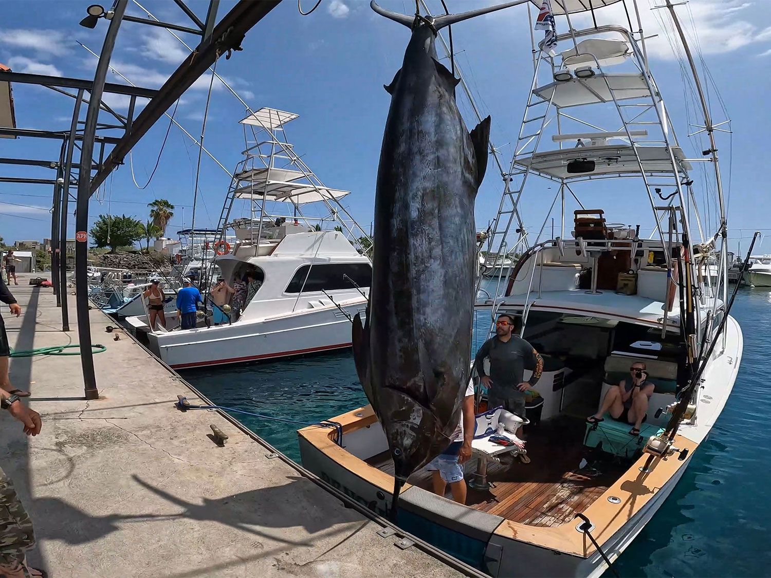 Turning Heartbreak into Success | Marlin