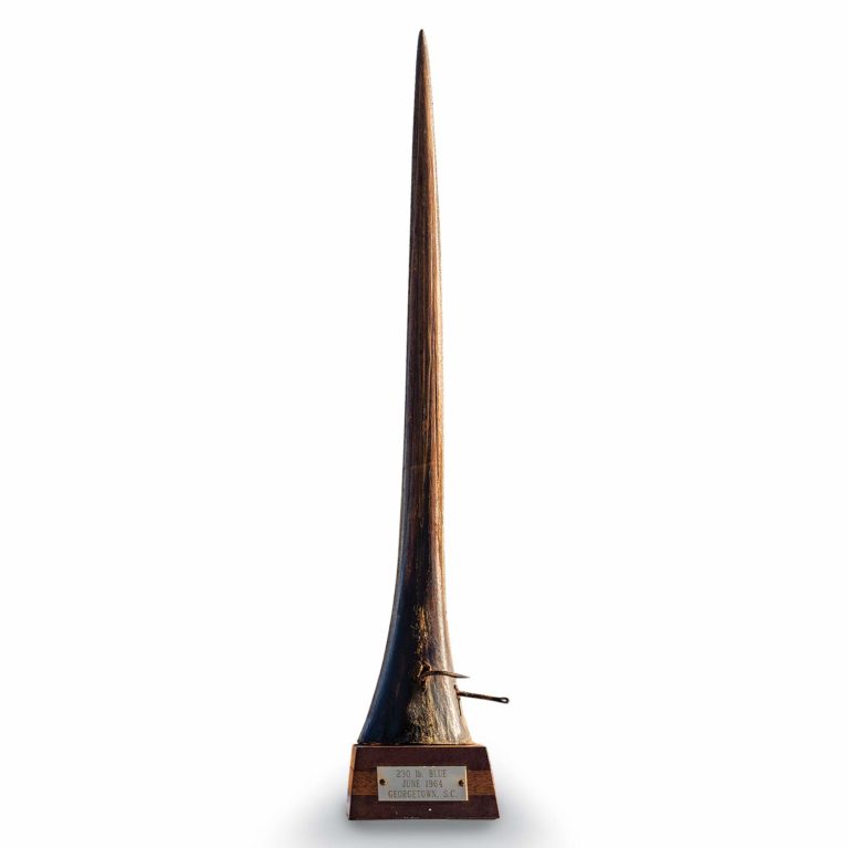 South Carolina Marlin Fishing History | Marlin