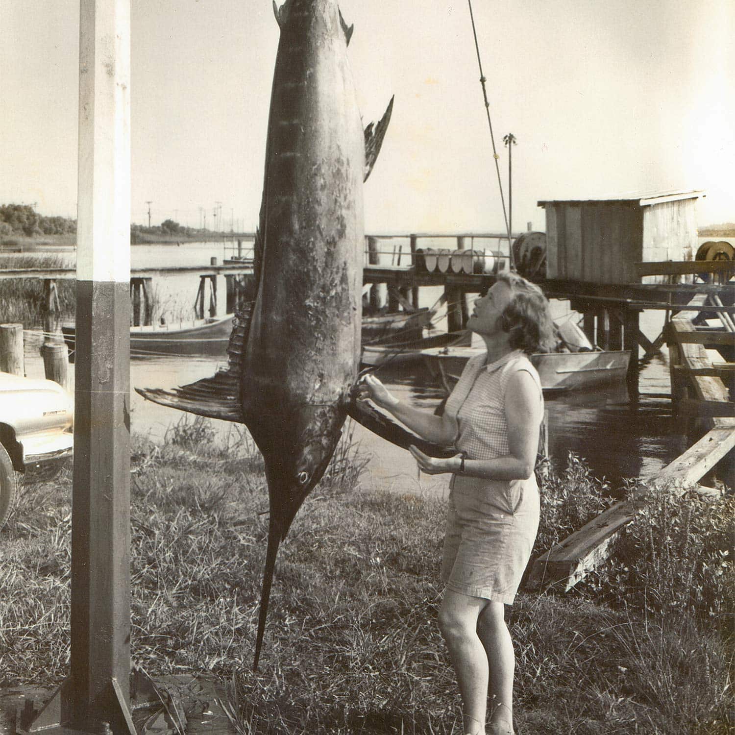 South Carolina Marlin Fishing History | Marlin