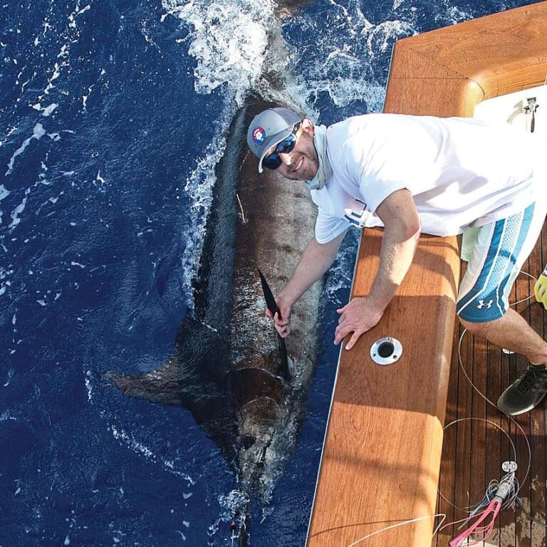 Bwana Wins 2022 Hawaii Marlin Tournament Series | Marlin