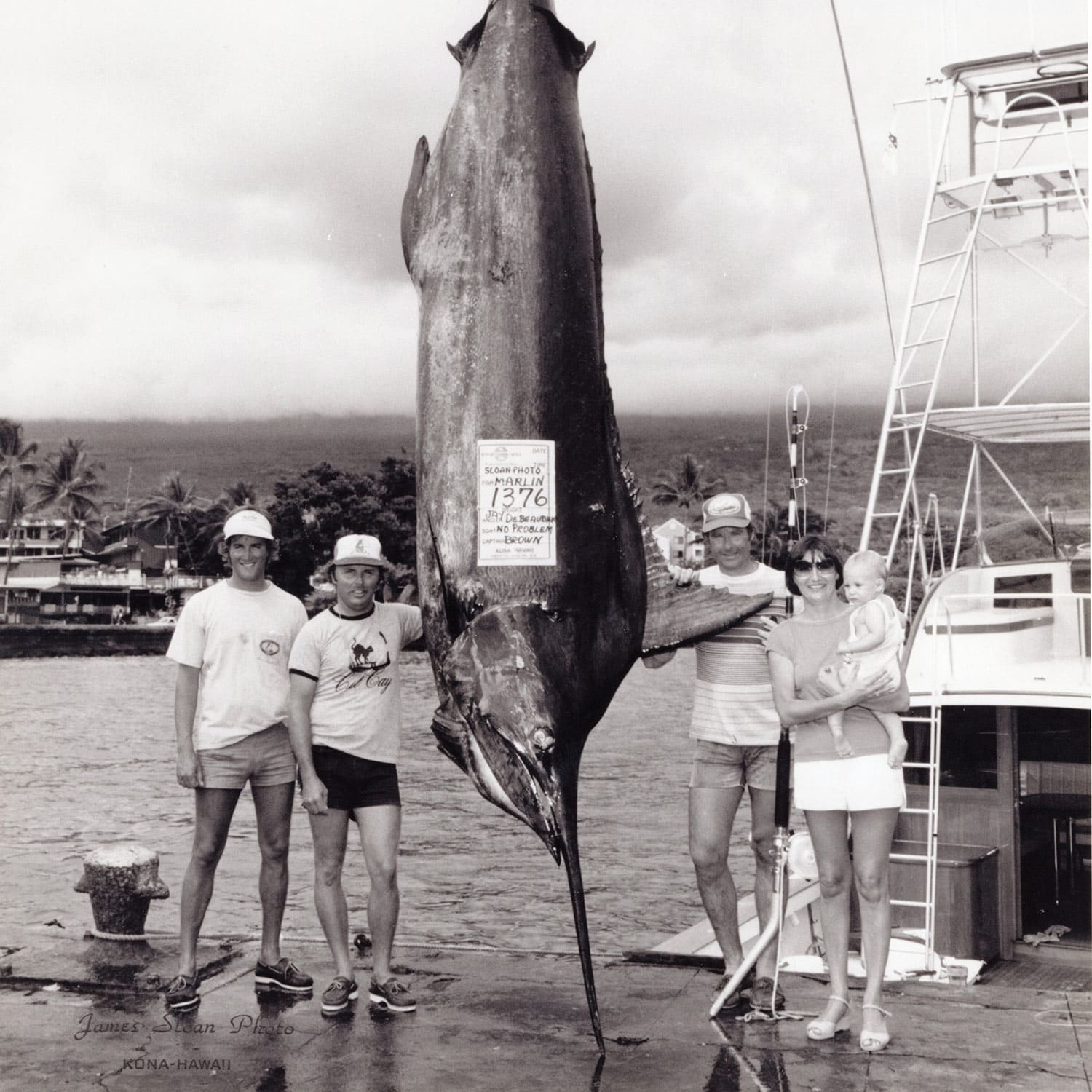 Where Are the Big Marlin | Marlin