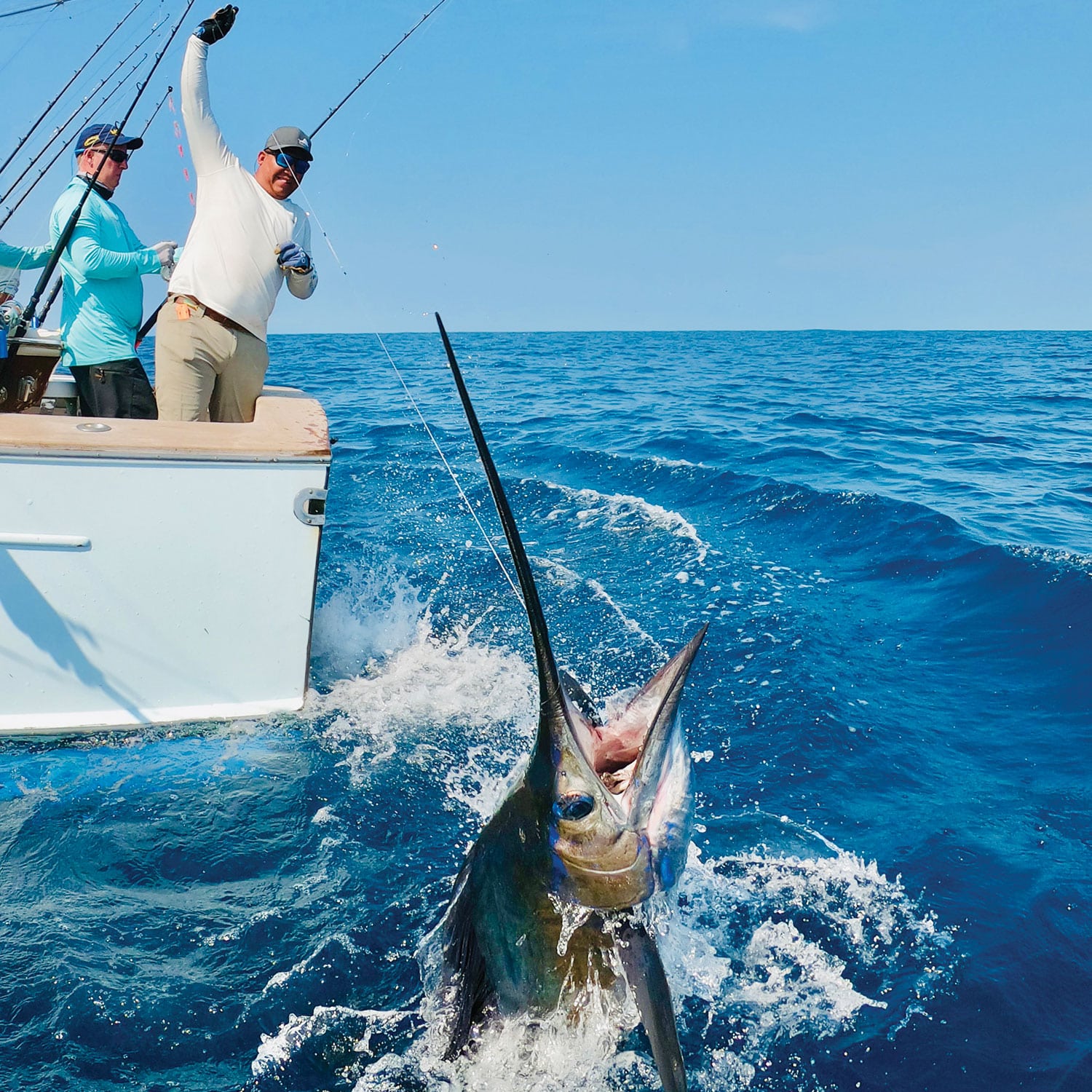 Spring Training with Marlin Expeditions in Guatemala and Costa Rica ...