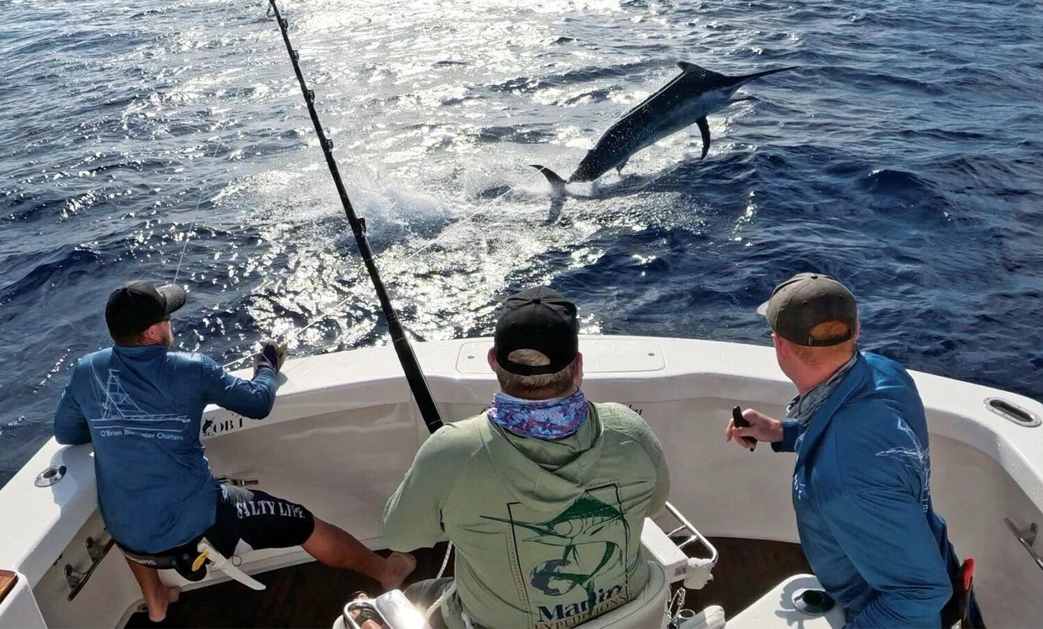 Marlin Expeditions Returns to Australia | Marlin