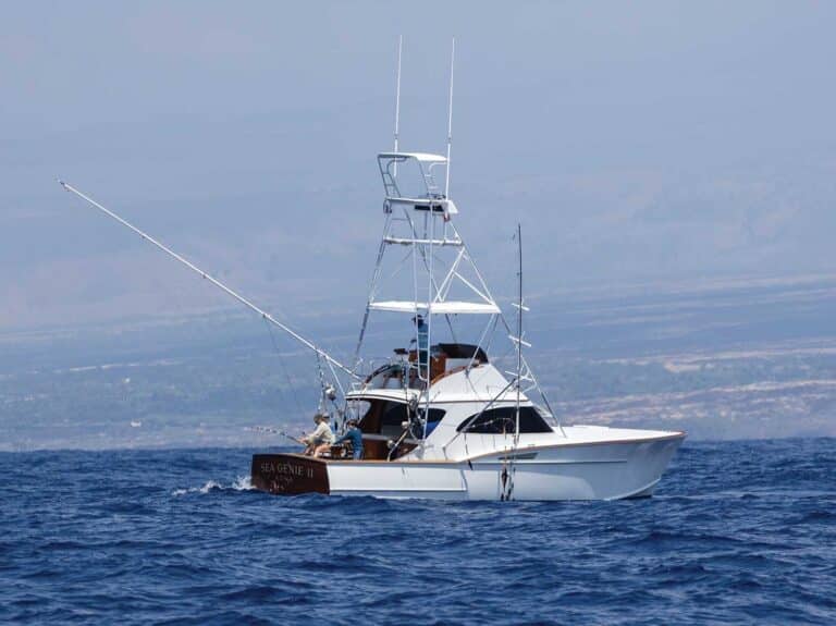 The Hawaiian International Billfish Tournament Rolls On in Kona | Marlin