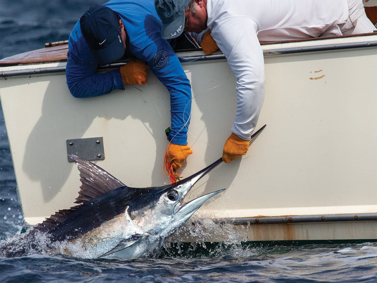 The Science and Theories Behind Using FADs in Sport Fishing | Marlin