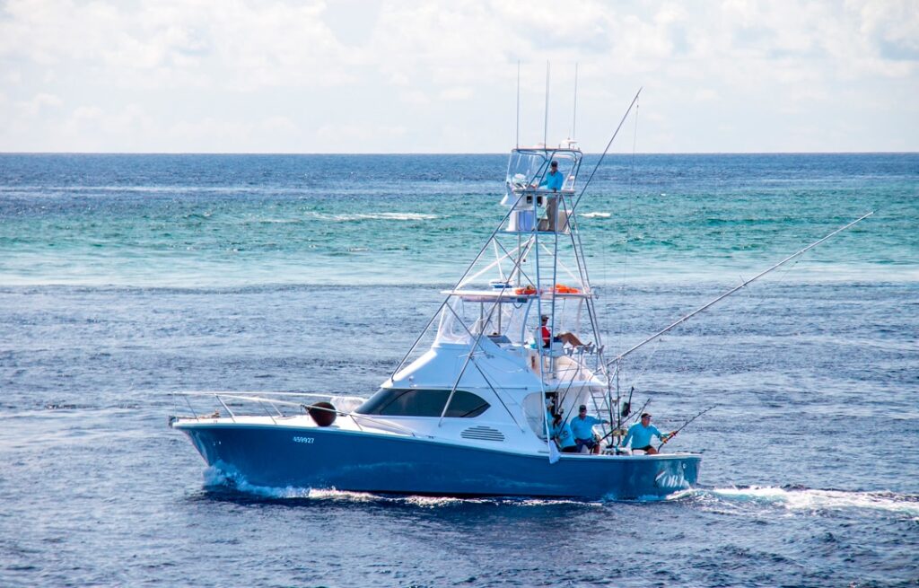 Great Barrier Reef | Marlin