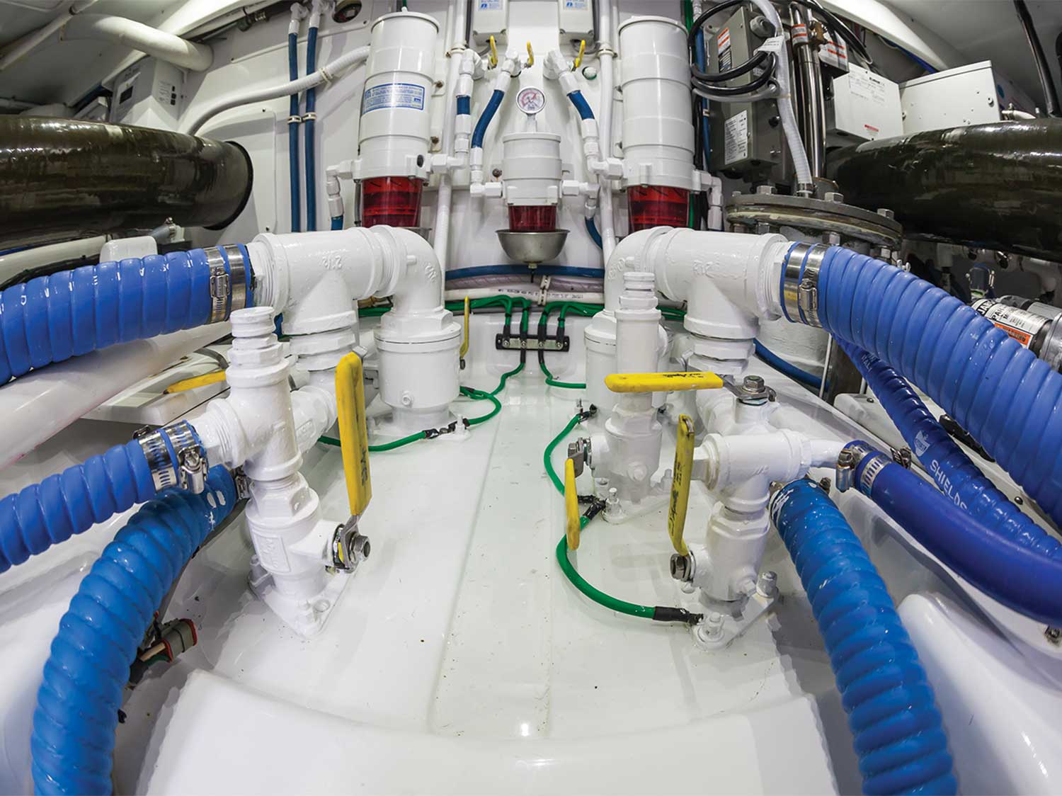 Put Your Best Bilge Forward | Marlin