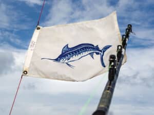 Bonito Strip Bait for Marlin and Sailfish | Marlin