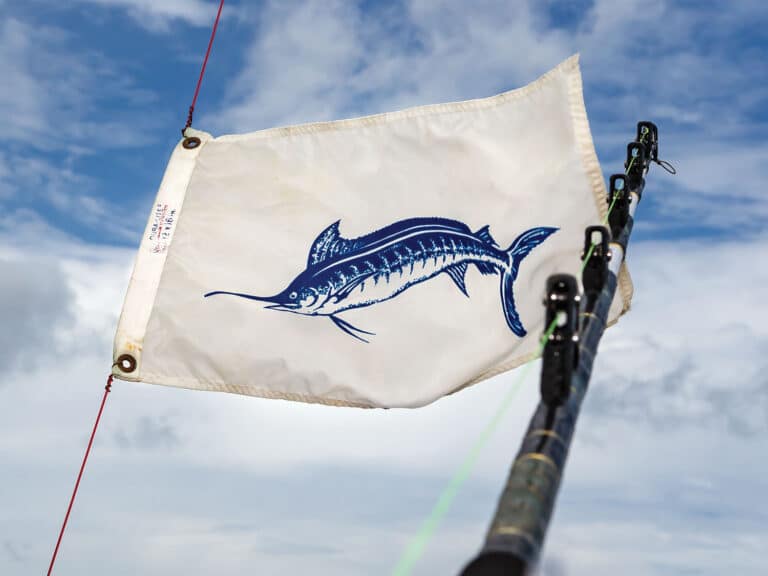 Using Drag Effectively to Win the Blue Marlin Fight | Marlin