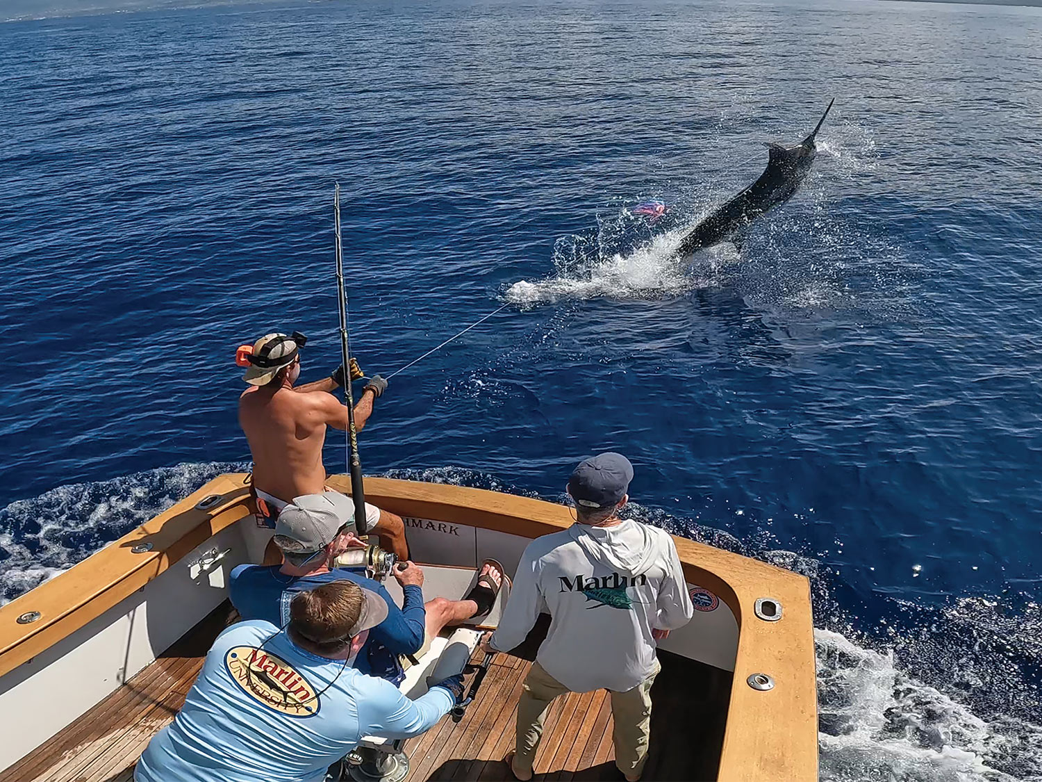 Kona, Hawaii | Marlin