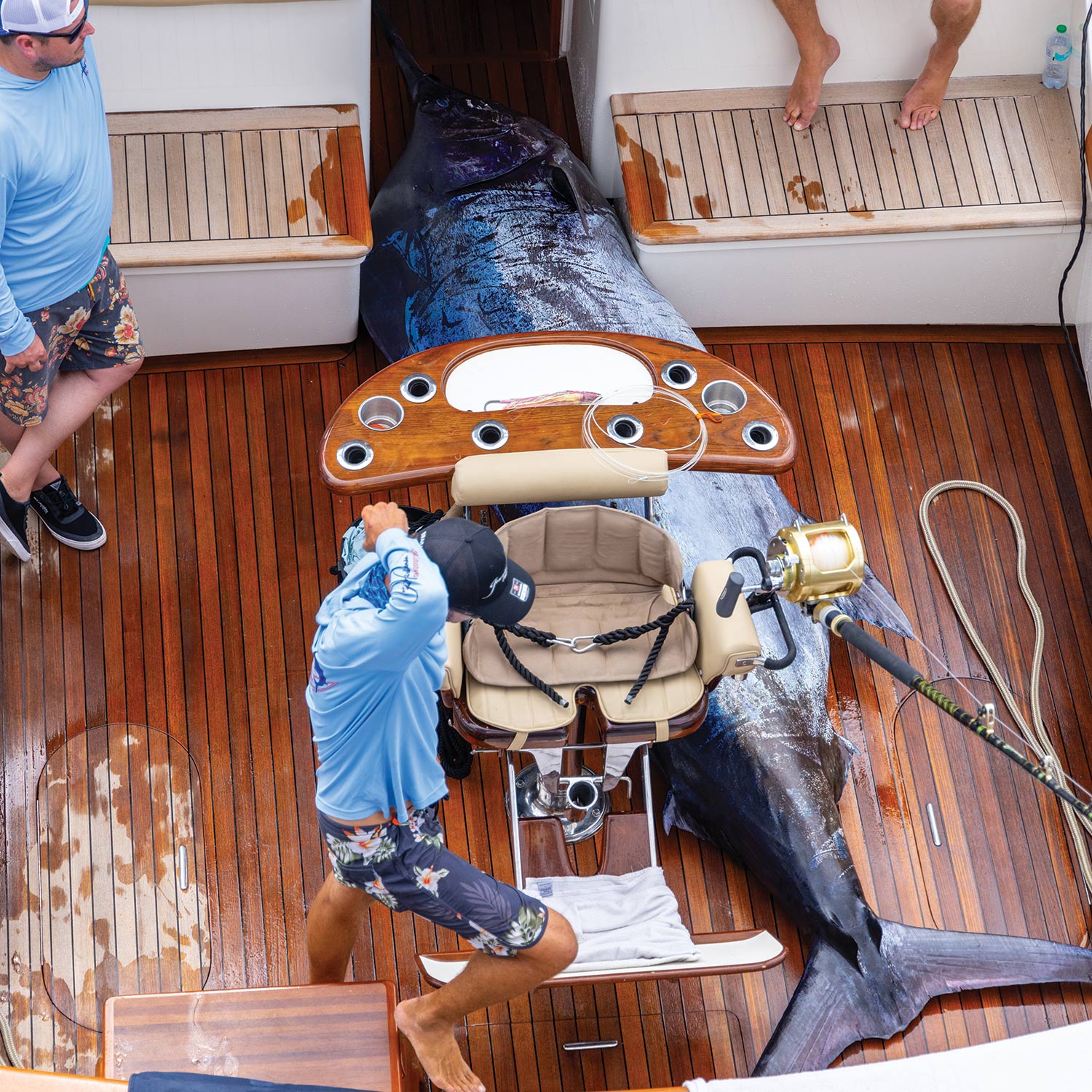 Bwana's Grander Blue Marlin | Marlin