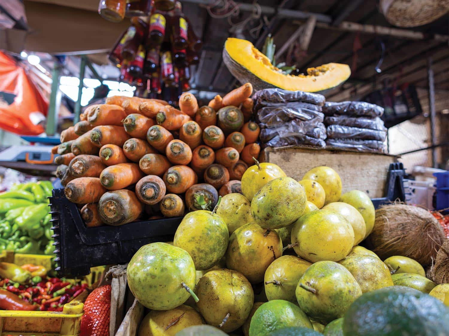 Exploring the Dominican Republic’s Diverse Fishery and Rich Culture ...