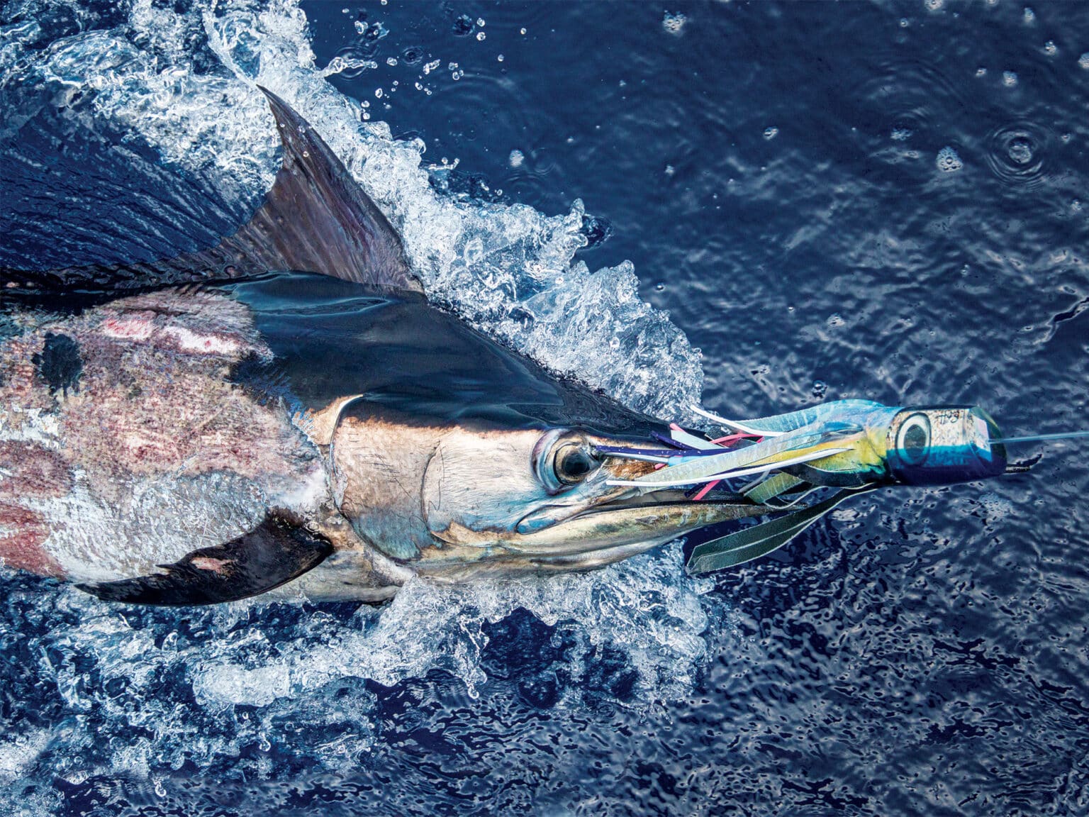 The Craft and Tradition of Hawaiian Lure Making | Marlin