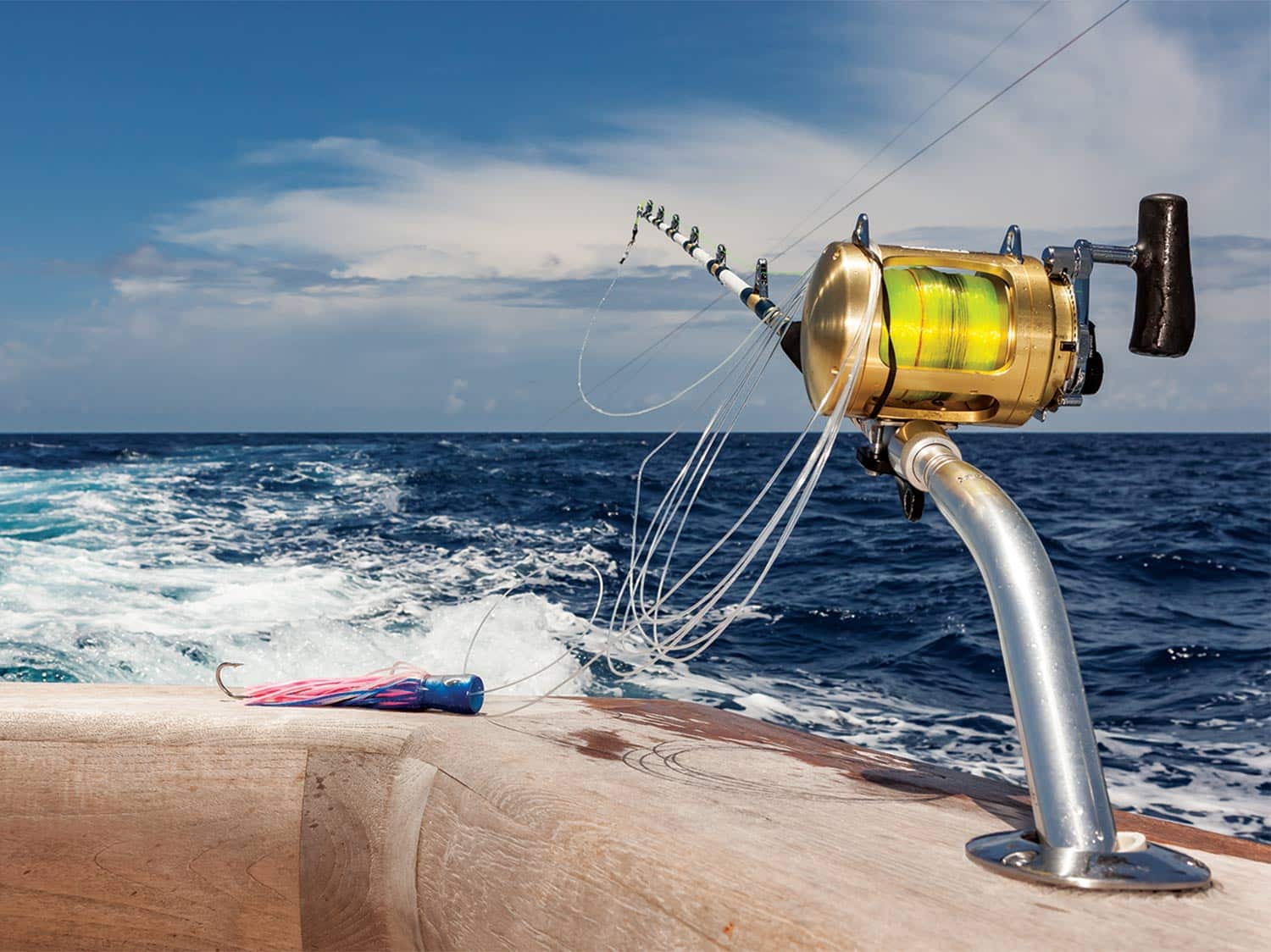 Cure for the Common Pitch Bait | Marlin