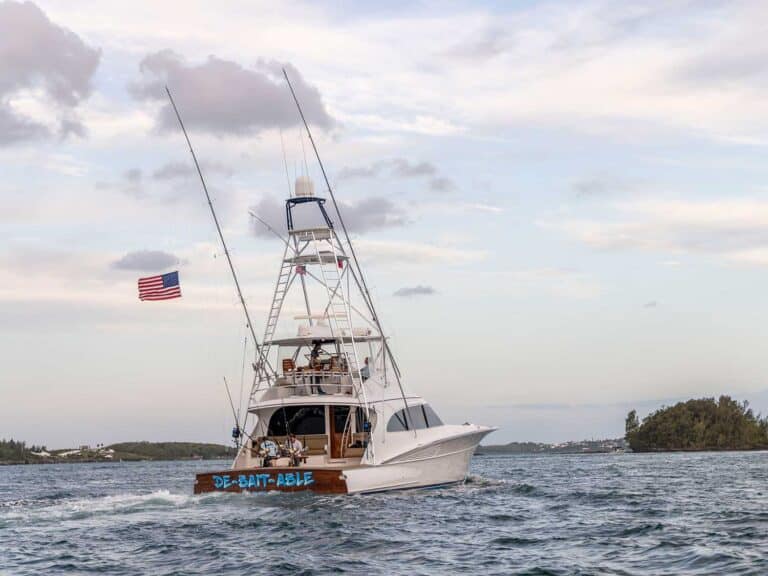 IGFA Great Marlin Race Kicks Off 2025 Showing an Impressive Trans ...
