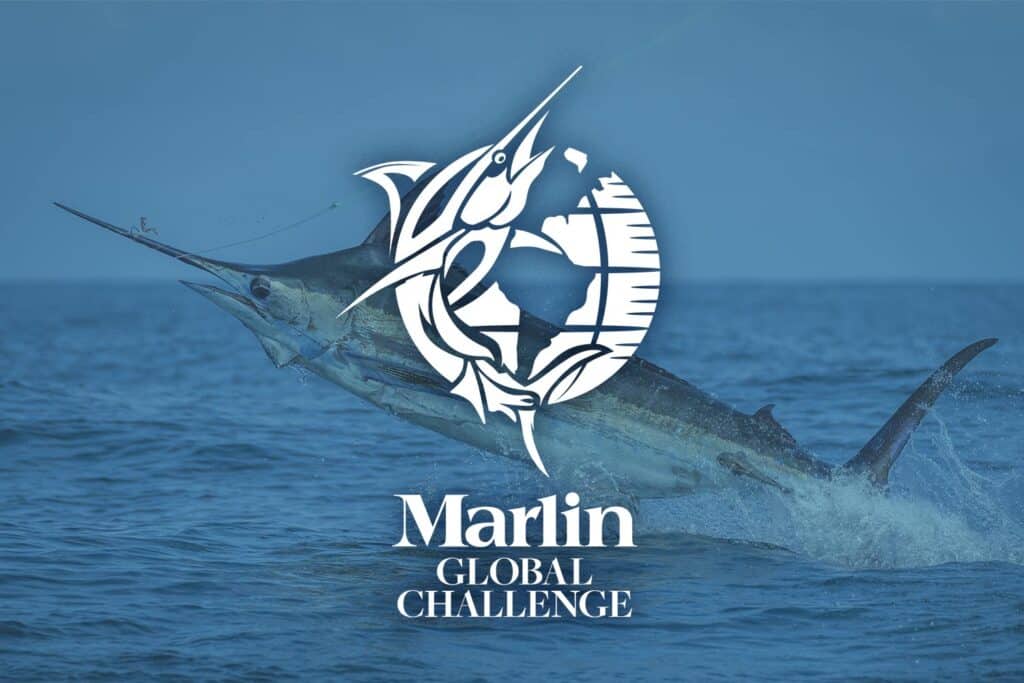 Tournaments | Marlin