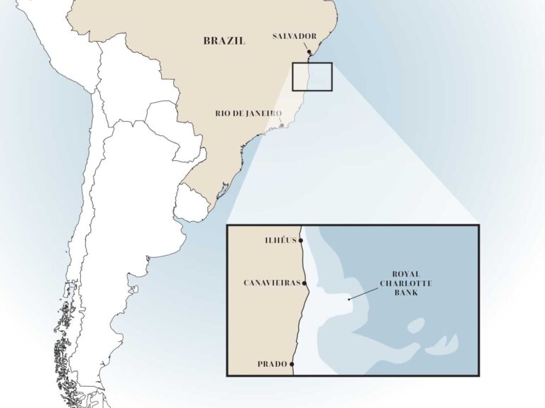 Royal Charlotte Bank: Brazil’s Hidden Gem for Trophy Blue Marlin ...