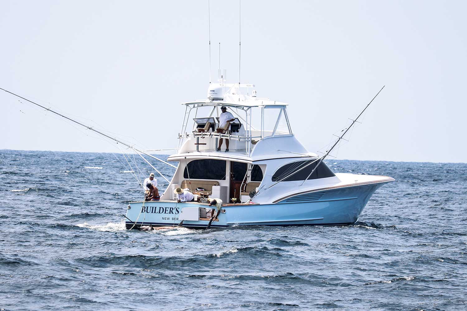 Expert Tips to Prevent Fish Weight Loss and Maximize Your Weigh-In | Marlin