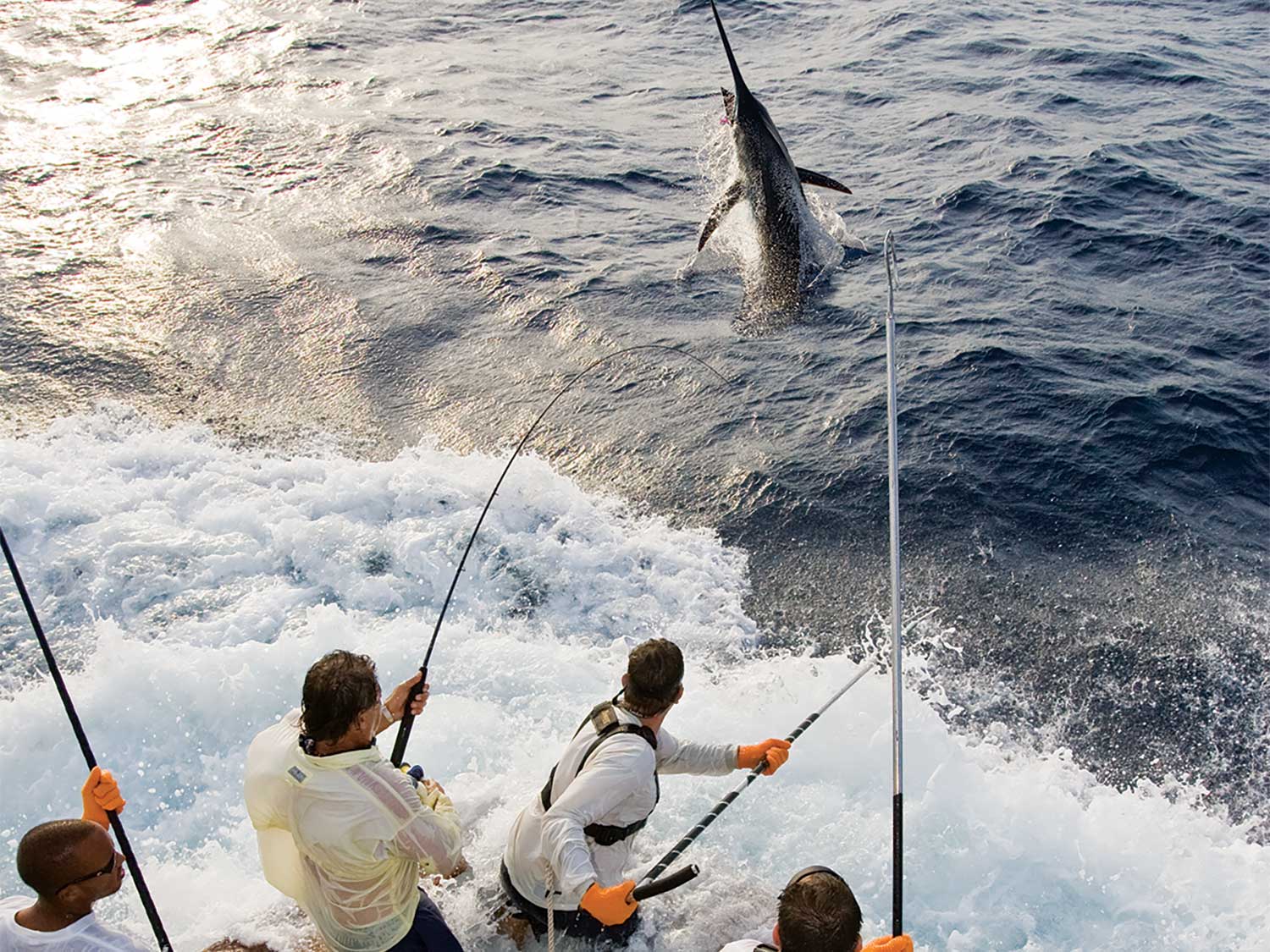 Why Integrity Is the True Trophy in Sport-Fishing | Marlin