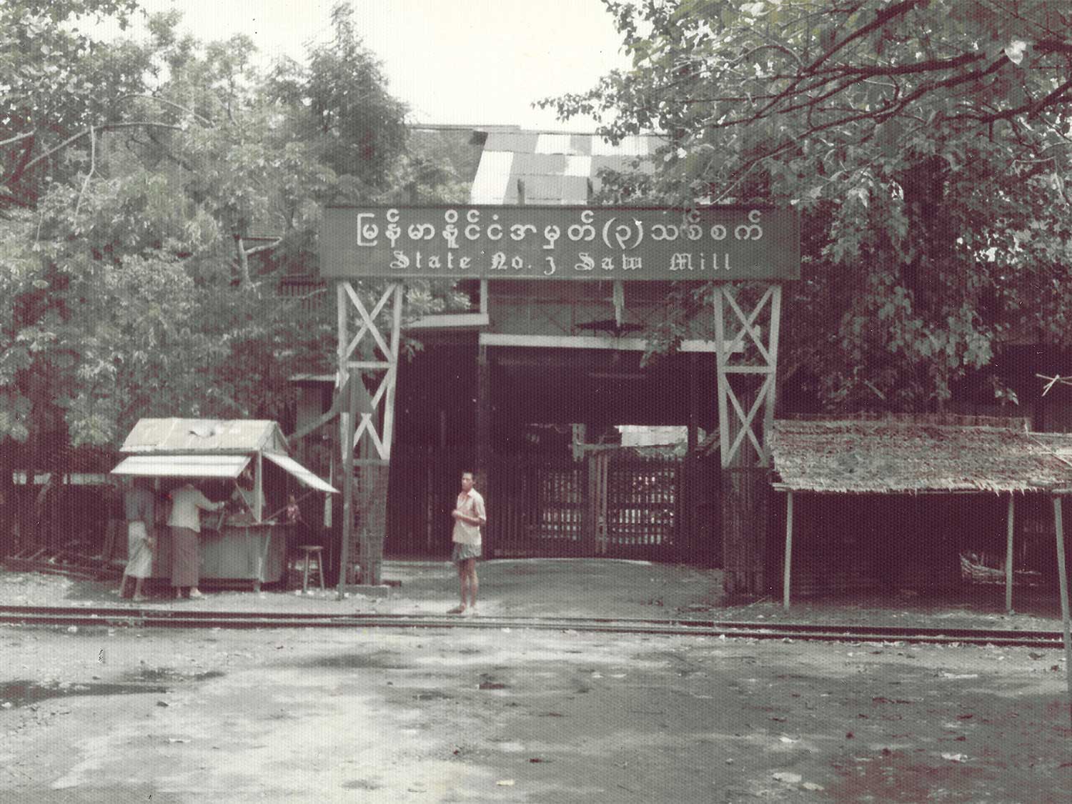 How a Global Teak Supply Collapse is Reshaping the Marine Industry | Marlin