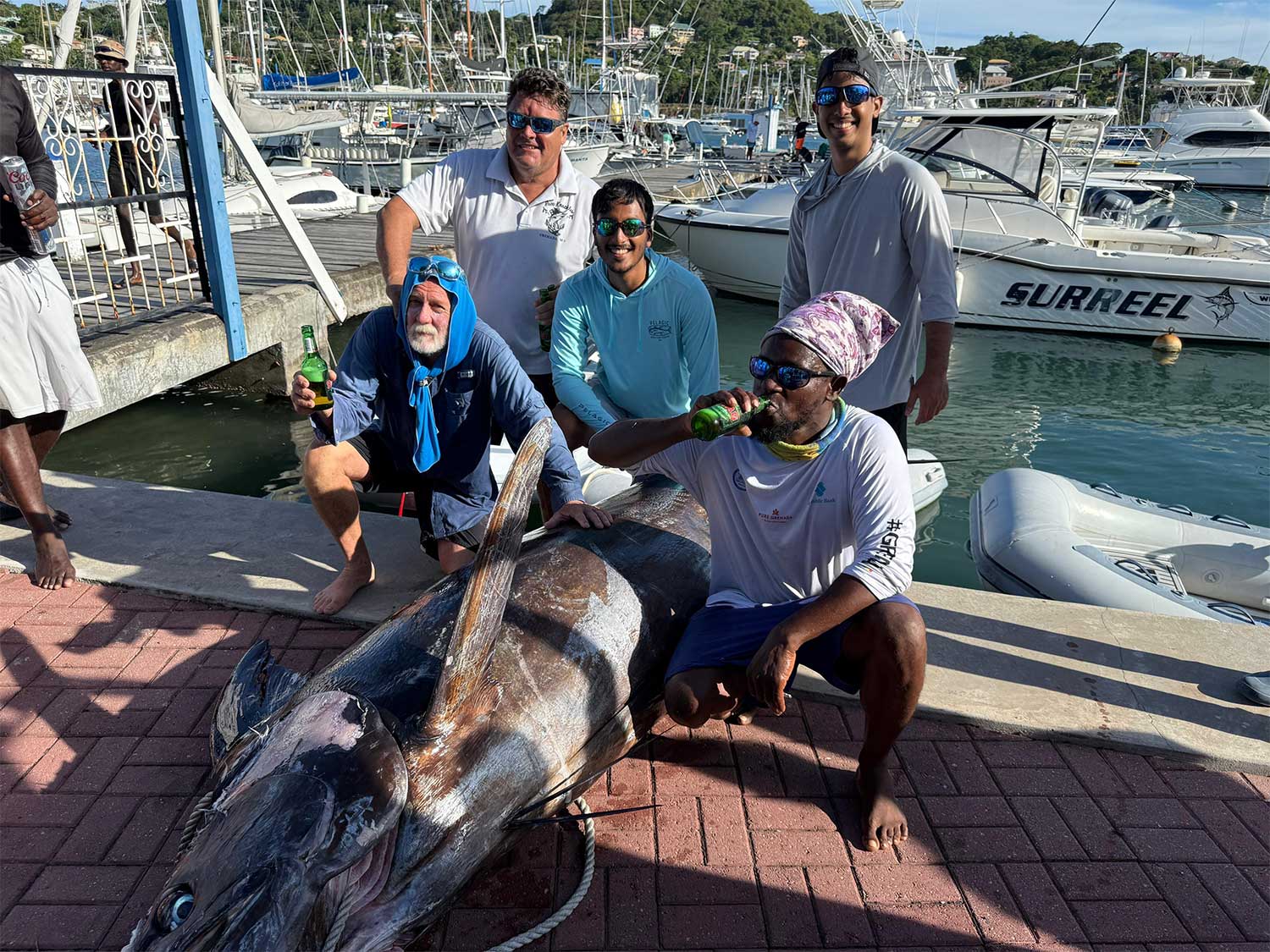 Team Rum Knuckles Lands 919-Pound Blue Marlin, Smashes Grenada Record ...