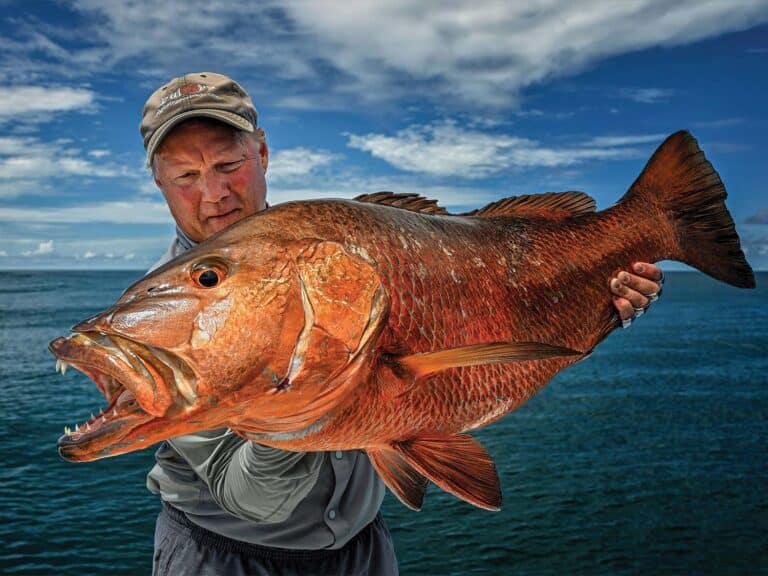 Exploring Costa Rica’s Osa Peninsula and Golfo Dulce Sportfishing ...