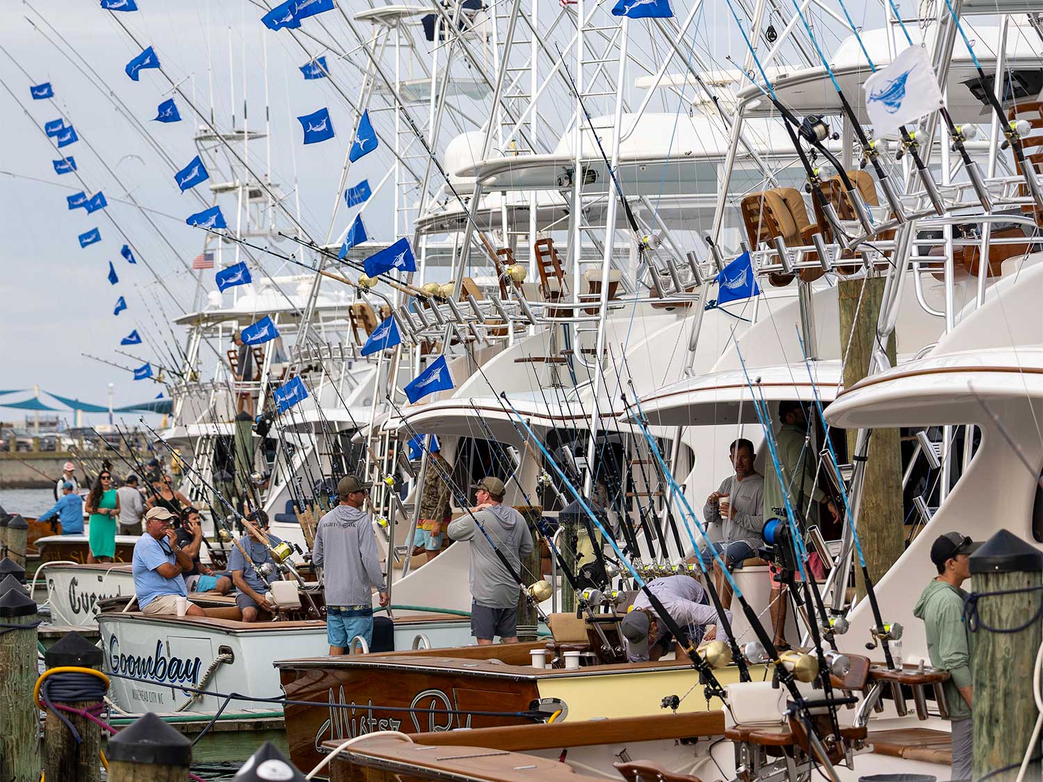 Waterman Leads the Way at the 22nd Annual Virginia Beach Billfish ...