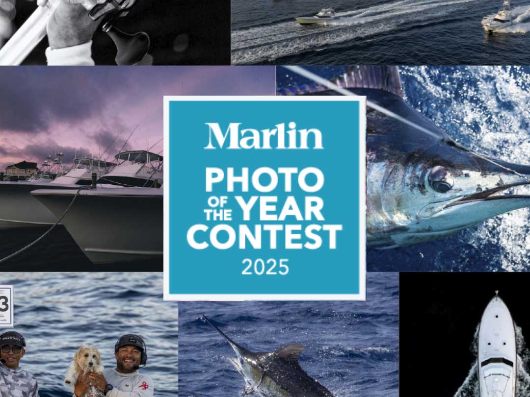Marlin Photo Contest Rules | Marlin