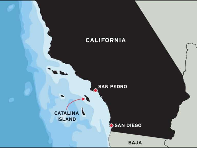 Rediscover Southern California's Legendary Fishery | Marlin