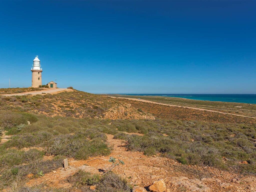 Top Big-Game Fishing Destinations You Shouldn’t Overlook in 2026 | Marlin