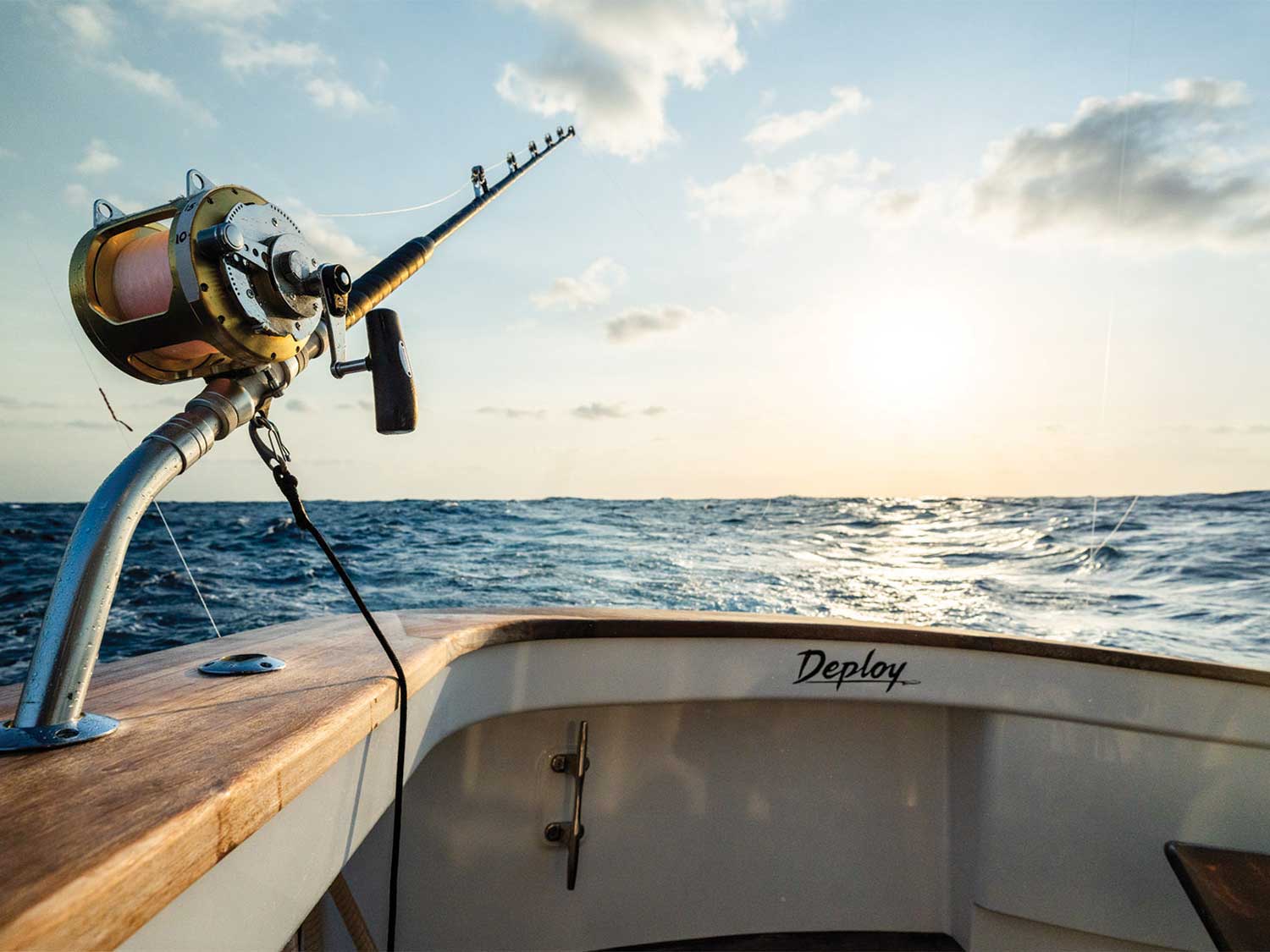 The Great Barrier Reef Named Editor’s Choice for Best Black Marlin ...