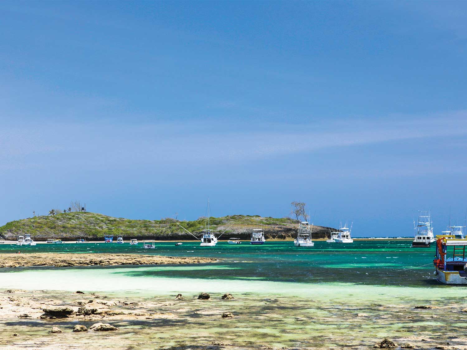 Kenya Named Editor’s Choice for Best Destination to Achieve a Billfish ...