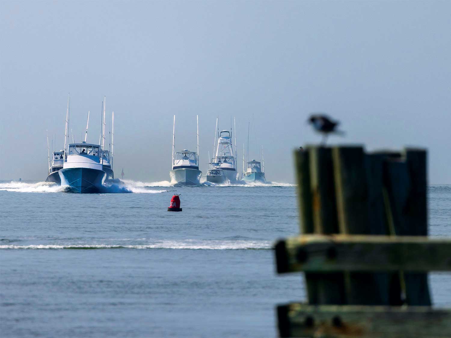 The Outer Banks Named Editor’s Choice for Best Offshore Fishing in the ...
