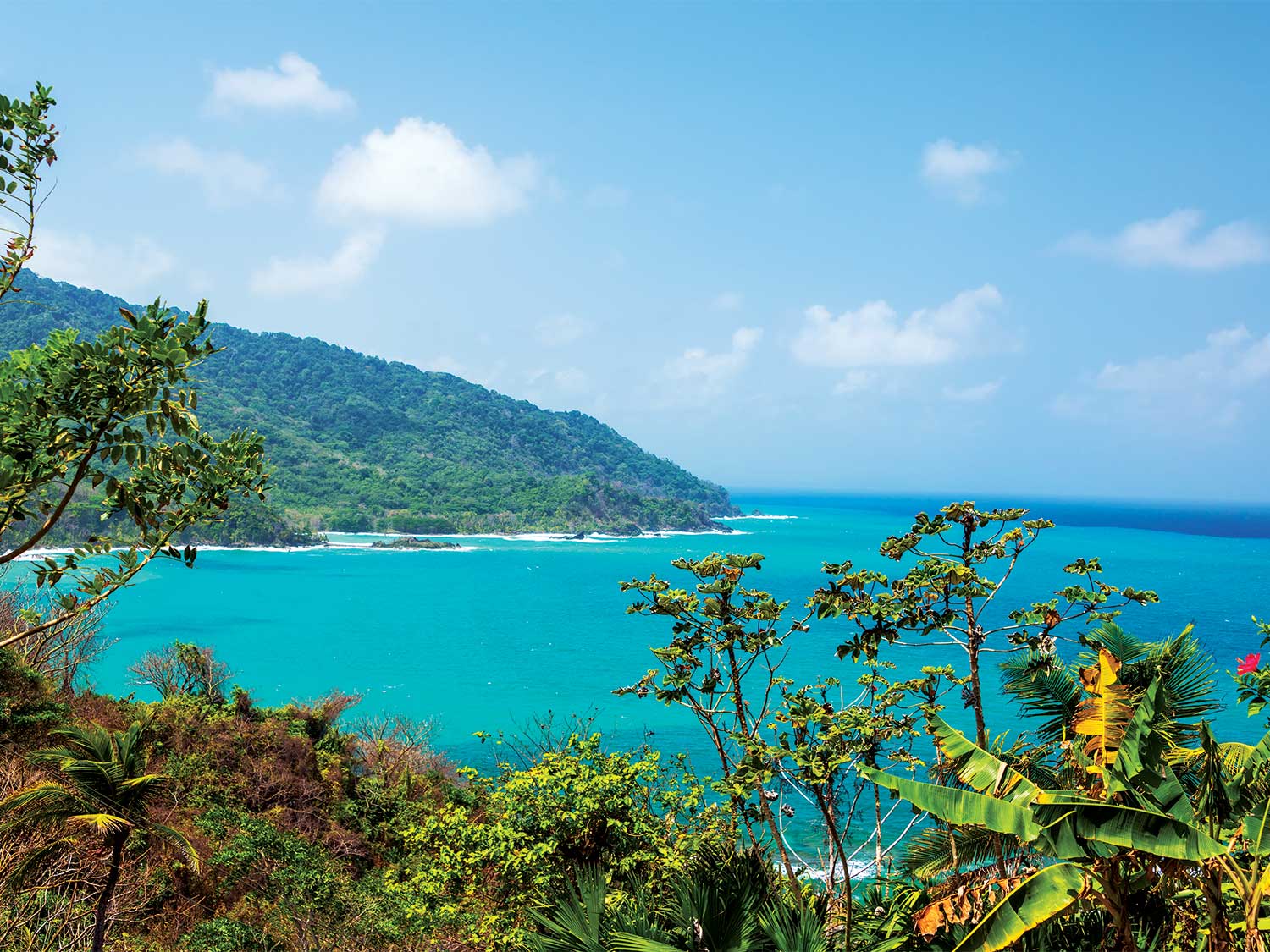 Panama Named Editor’s Choice for Best Species Diversity in Big-Game ...