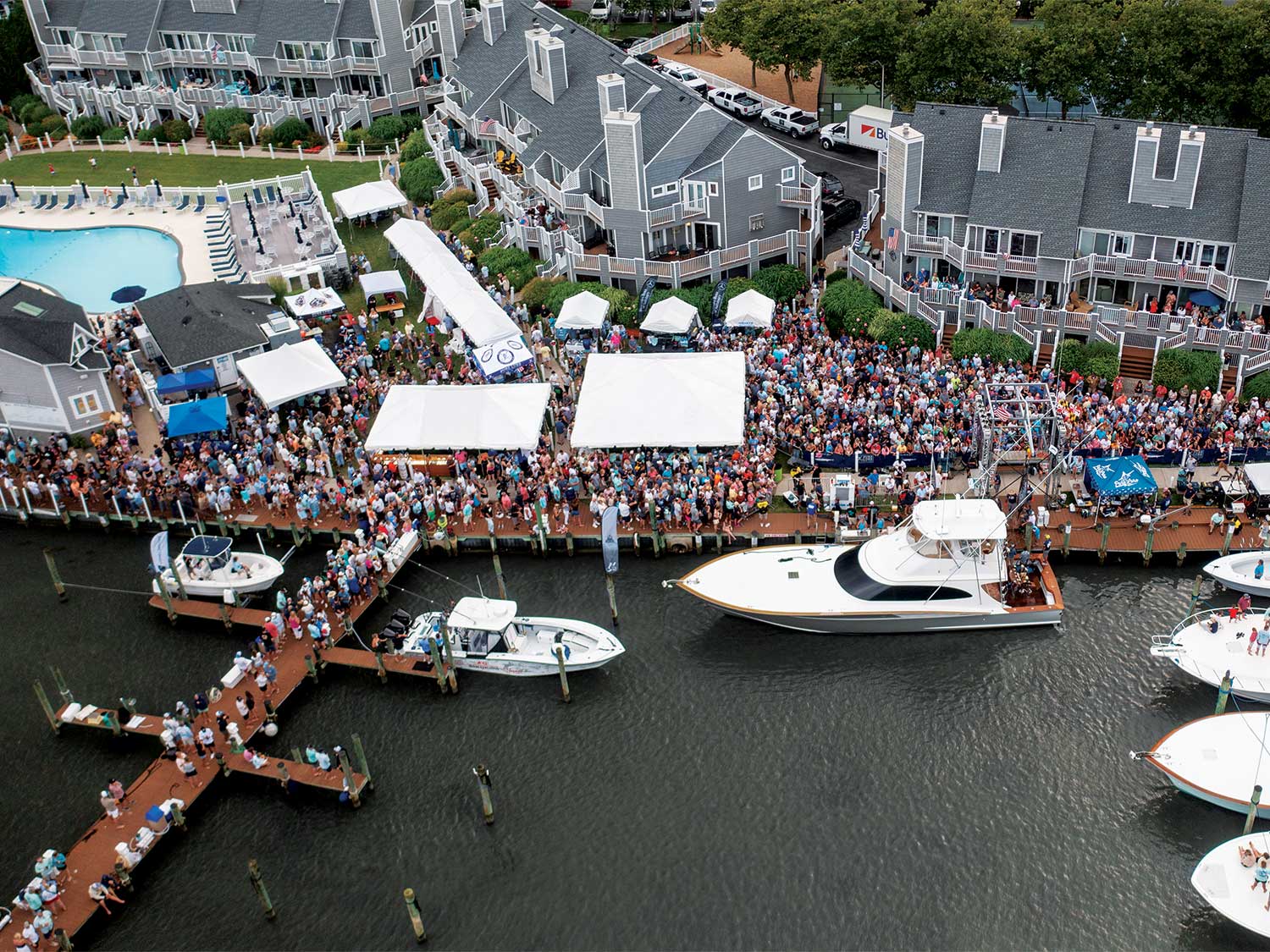 White Marlin Open Named Editor's Choice for Best White Marlin ...